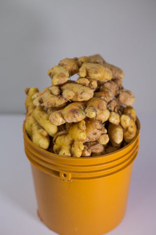 Fresh Ginger (Paint Bucket) - Fresh To Dommot