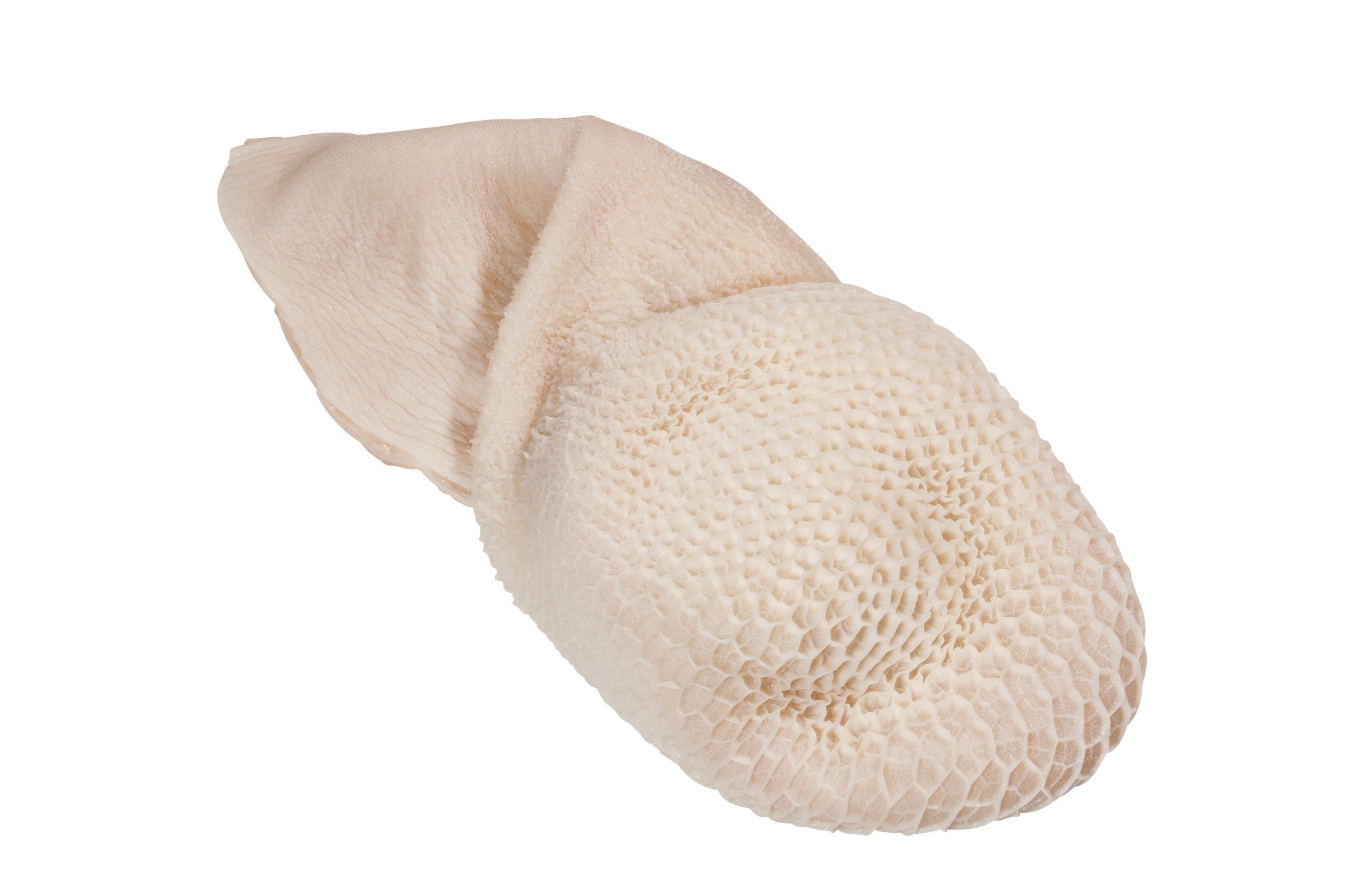 Shaki (1kg) - Fresh To Dommot