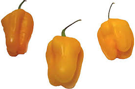 Habanero Pepper yellow /Cameroon Pepper (Half Derica) - Fresh To Dommot