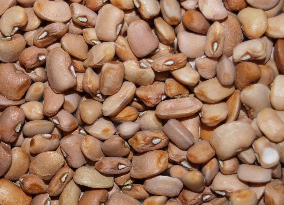 Beans olotu 1kg - Fresh To Dommot