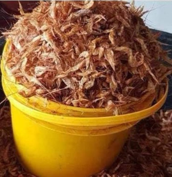 Dry White Crayfish (1 Paint Bucket) - Fresh To Dommot