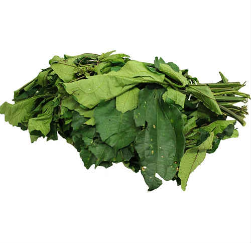 Ugu leaves (250g) - Fresh To Dommot